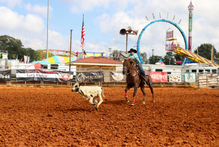 Barn to Be Wild: Your Guide to the 2025 Carolina Classic Fair - Forsyth ...